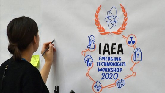 IAEA: experts gather in Vienna to discuss the impact of emerging ...